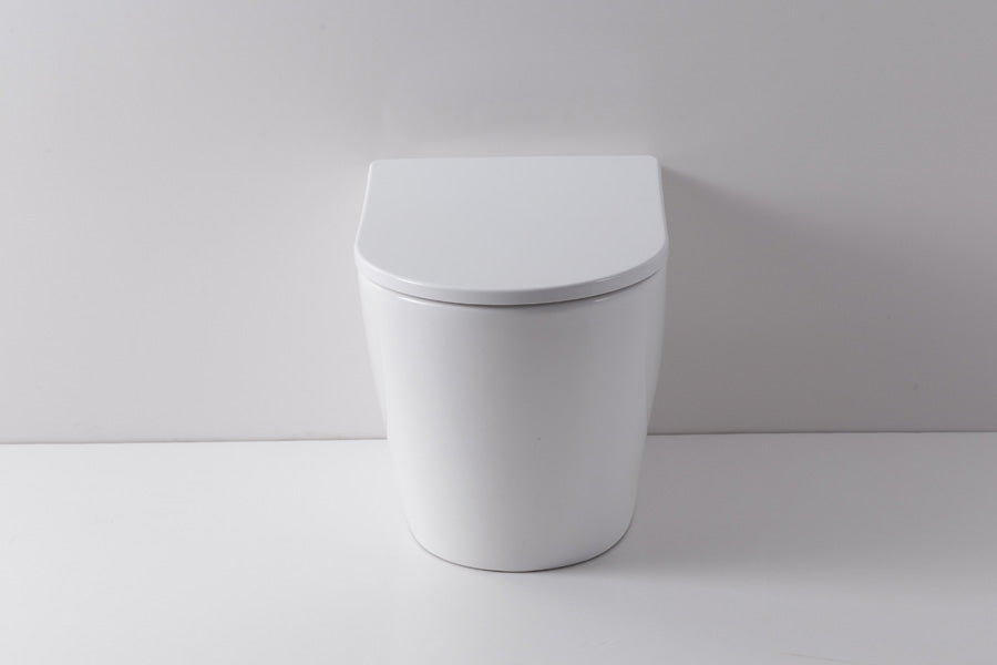 Renee Rimless Wall Faced Pan only In-Wall Cistern Toilet
