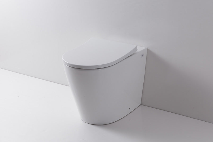 Renee Rimless Wall Faced Pan only In-Wall Cistern Toilet
